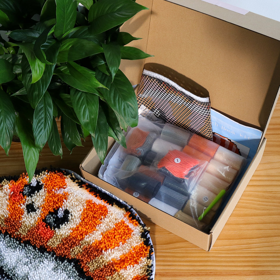 Mochi Maki – Sushi Latch Hook Rug DIY Kit – Craftopian